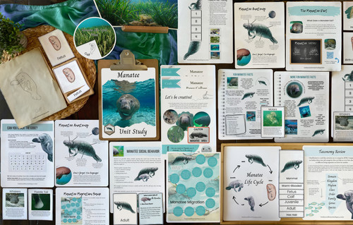 Manatee Nature Study | FTL of Homeschooling