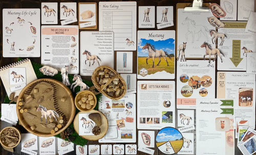 Wild Mustang Nature Study | FTL of Homeschooling