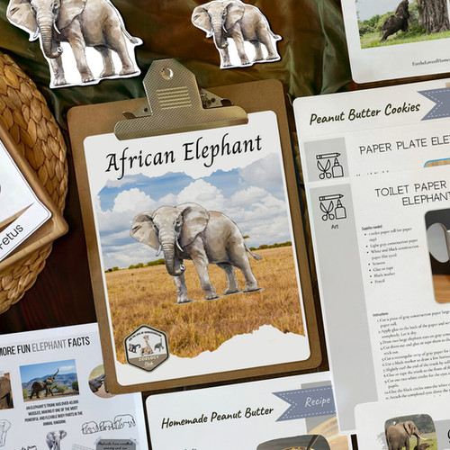 African Elephant Nature Study | FTL of Homeschooling
