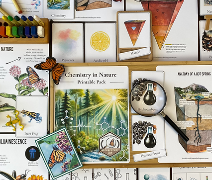 Nature Study Club | For The Love Of Homeschooling