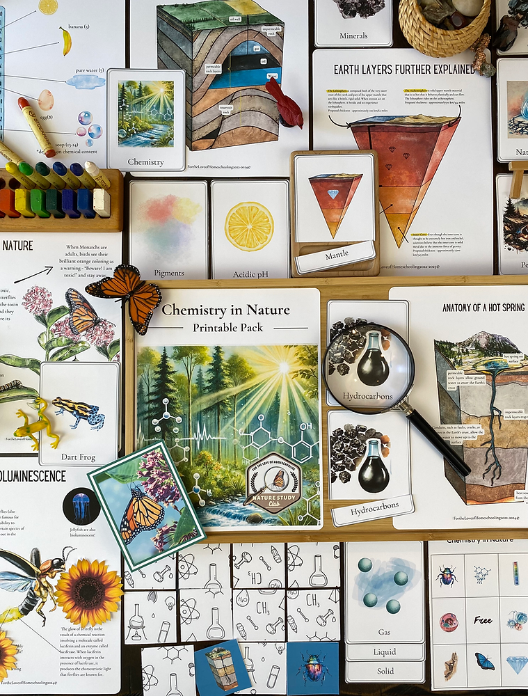 5 Ways to Teach Homeschool Chemistry: STEM, Nature & Family-Style Science