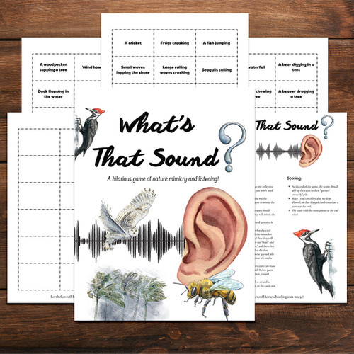What’s That Sound Game? | FTL of Homeschooling
