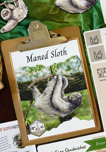 Maned Sloth Nature Study | FTL of Homeschooling
