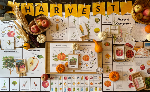 Harvest Nature Study | FTL of Homeschooling