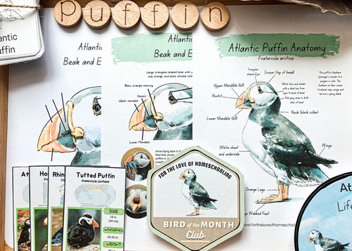 Atlantic Puffin Unit Study | FTL of Homeschooling