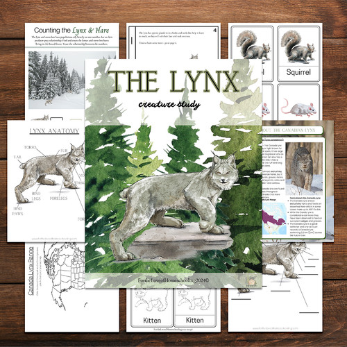 Lynx Unit Study | FTL of Homeschooling