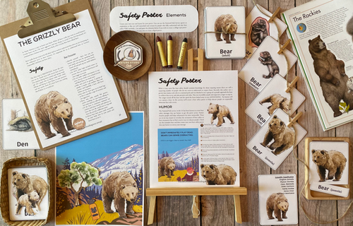 Bear Safety Unit | FTL of Homeschooling