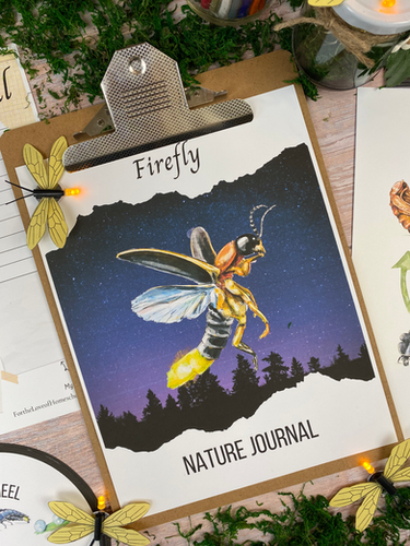 Firefly Unit Study. | FTL of Homeschooling