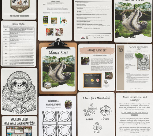 Sample Maned Sloth Nature Study | FTL of Homeschooling