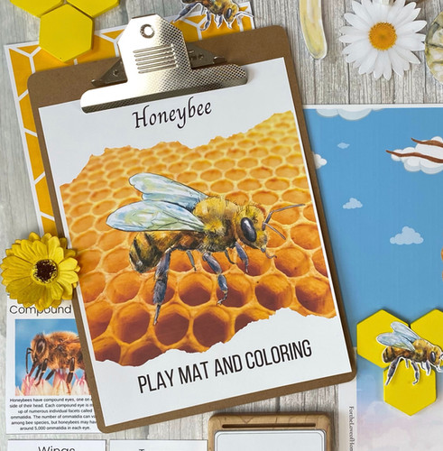 Honey Bee Unit Study. | FTL of Homeschooling