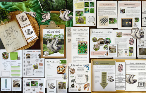 Maned Sloth Nature Study | FTL of Homeschooling