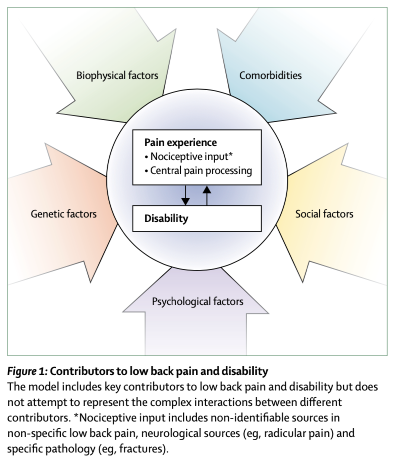 19. A Deep Dive Into The World Of Low Back Pain