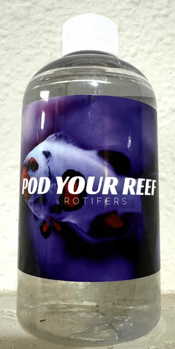 Rotifers by Pod Your Reef | Remy's Reef Studio