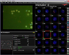 Ikaros Karyotyping Software - fasrtablet
