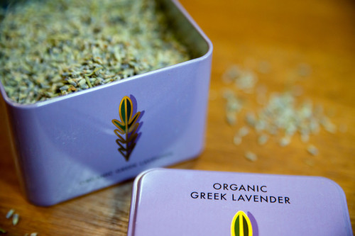 ORGANIC GREEK LAVENDER TEA | Lavender tea benefits | Seven Senses Organic