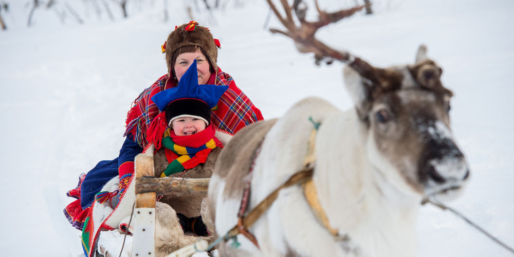 Sami National Day, and a Traditional Sami stew