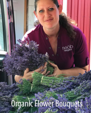 Attraction | Niagara-on-the-Lake Chamber of Commerce