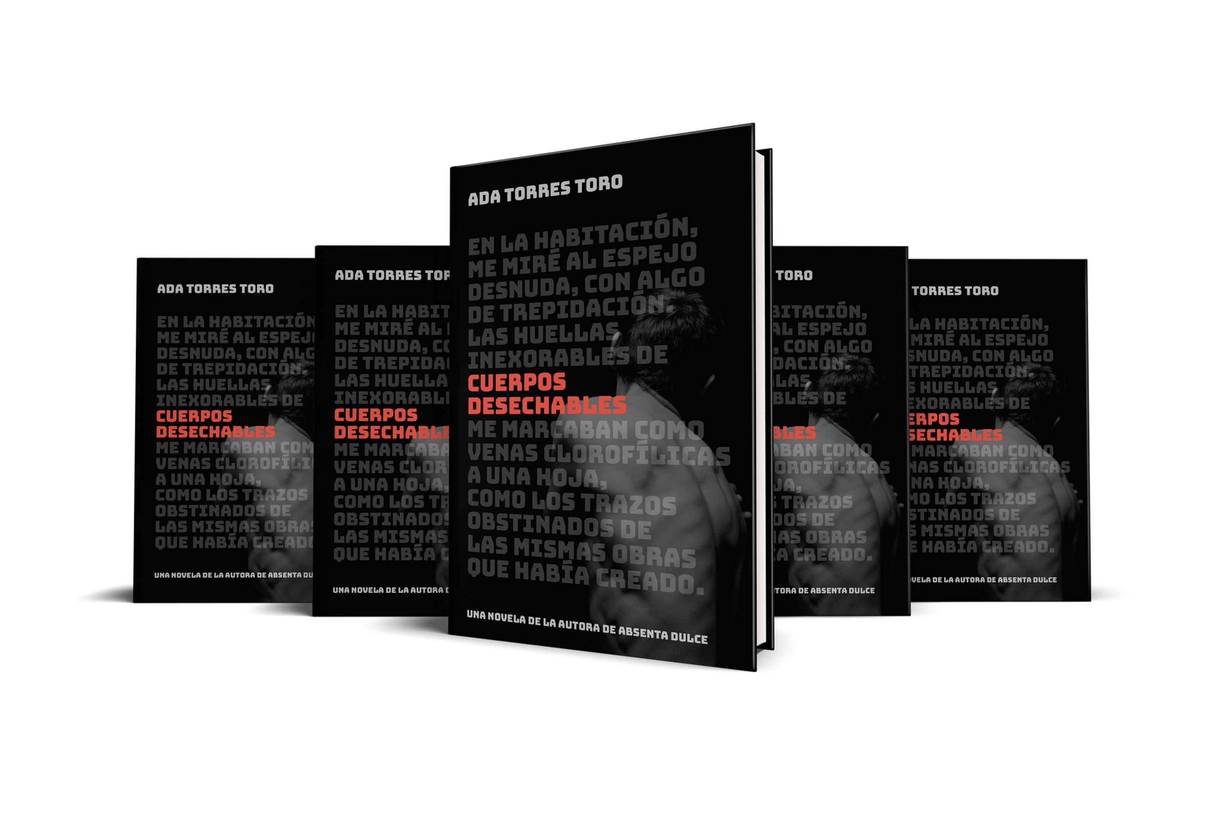 Ada Torres Toro | Cuerpos desechables