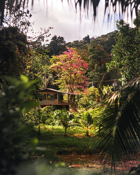 Tour Operator | Totally Toco | Trinidad and Tobago