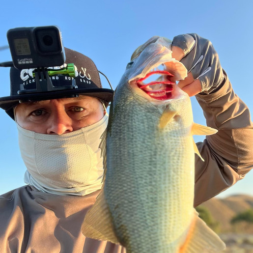 WEEKLY FISHING REPORT | Cope's Tackle & Rod