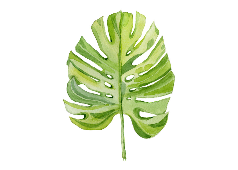 Sasha Solomon Art | Watercolor Illustration