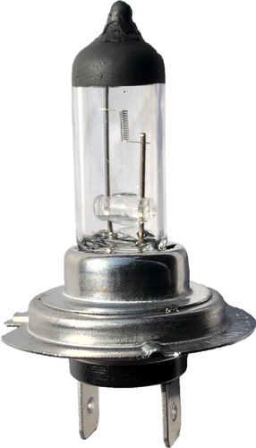 FOCO H7 HALOGENO DE 12V 100W | DISBORNES.SAC