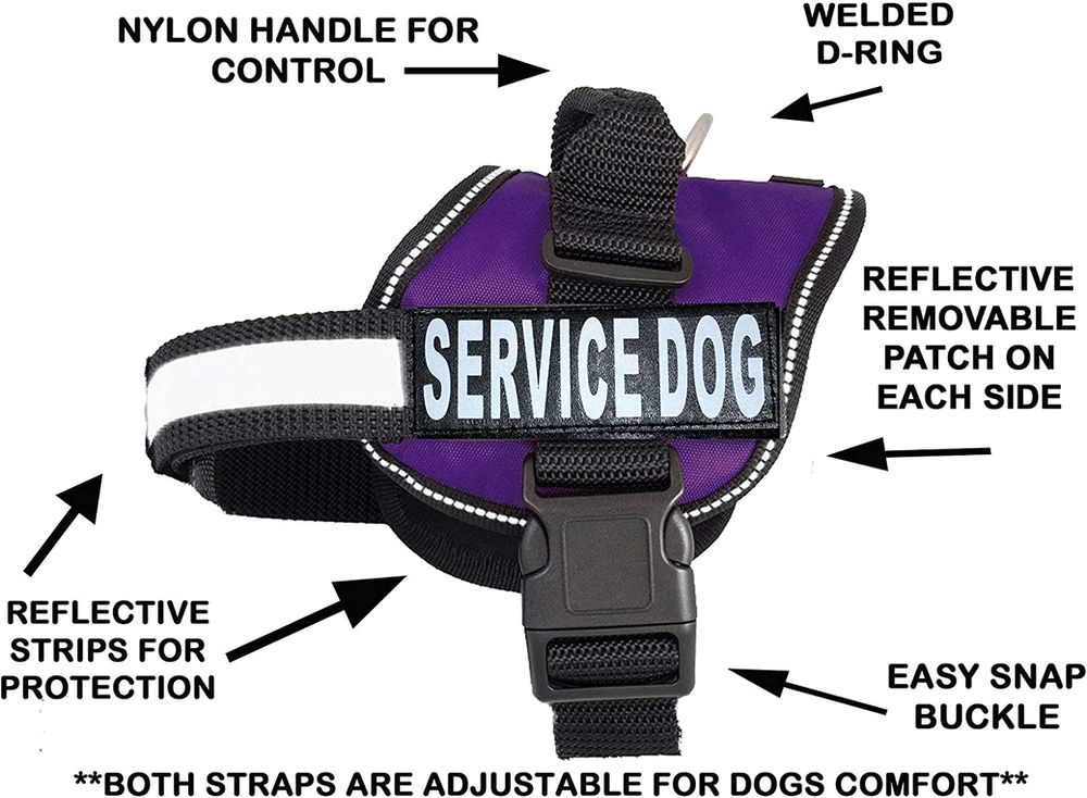Service Dog Equipment