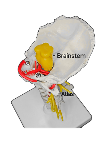 Atlas Chiropractic & Wellness