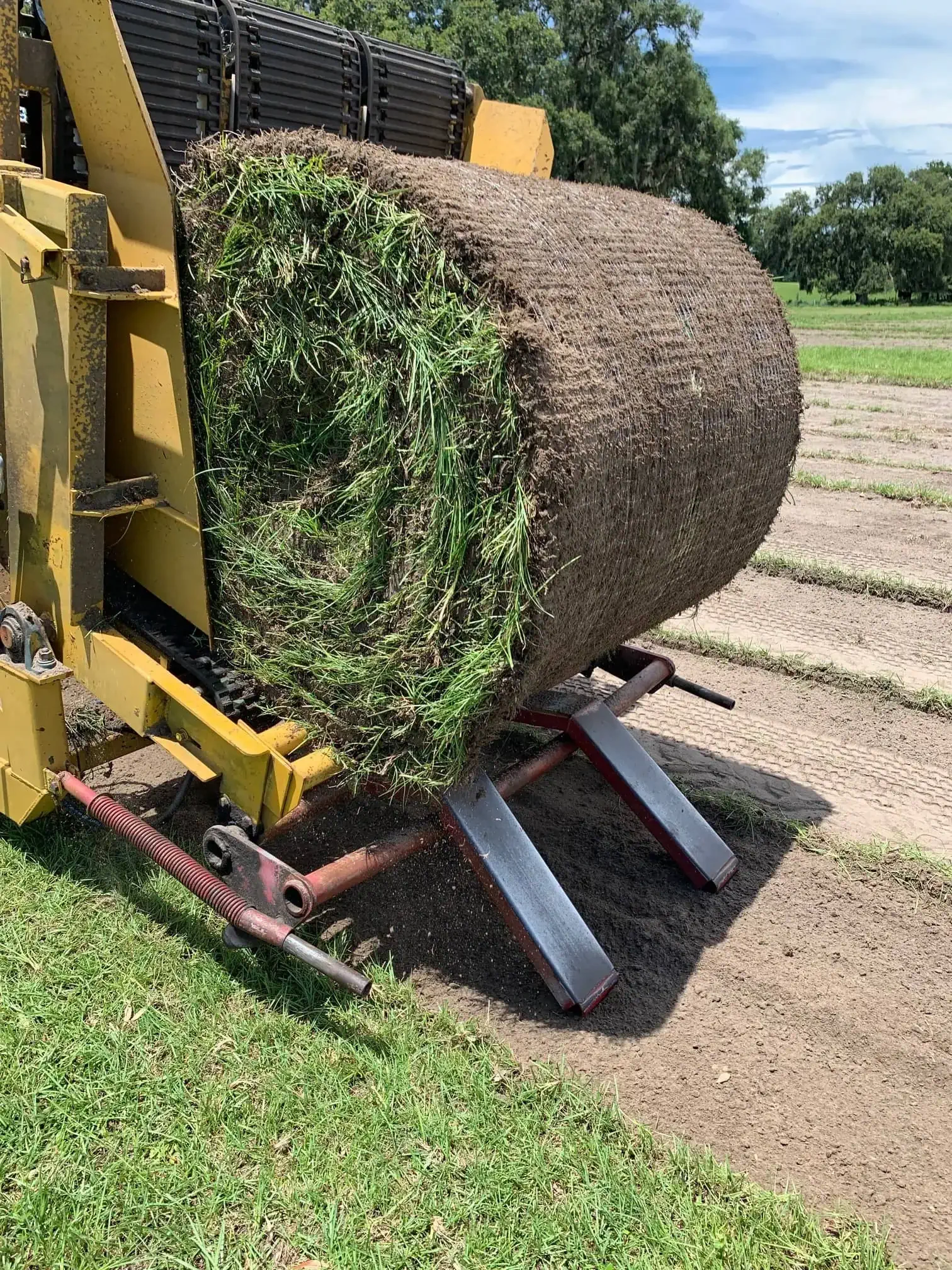 Sodding Near Homosassa Fl | Circle T Sod Farms | Sod Installation