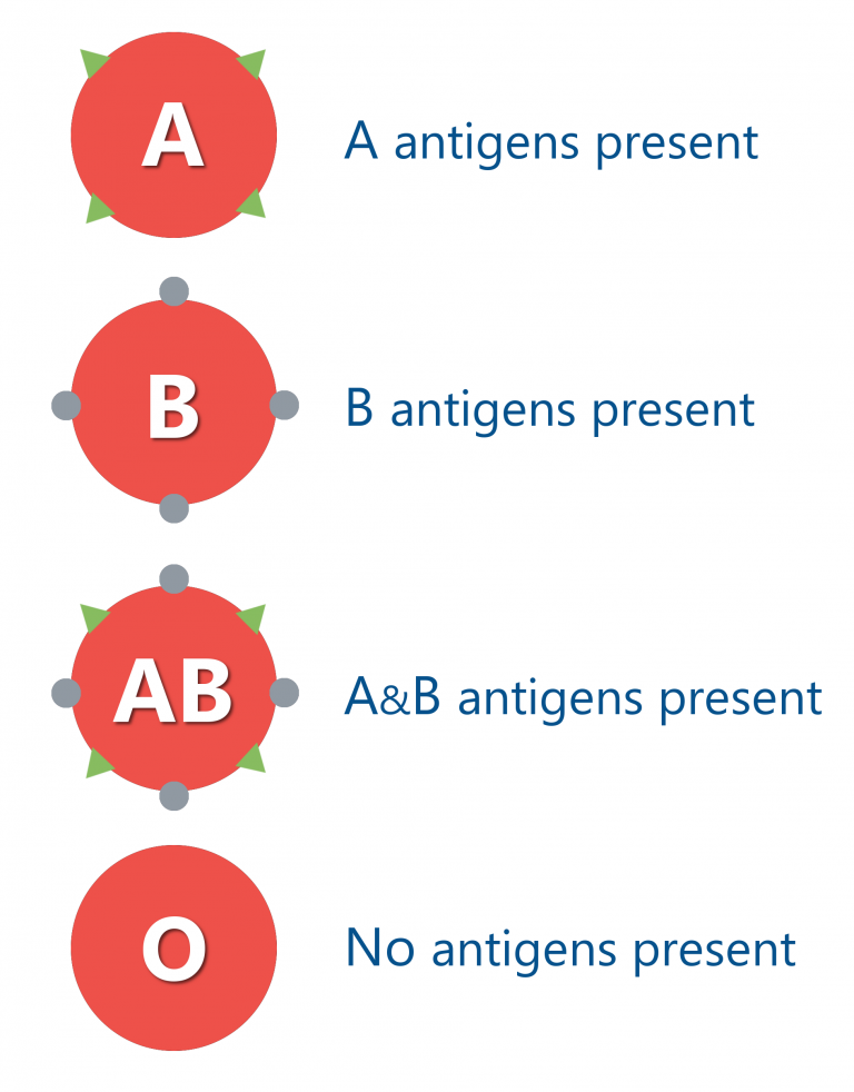 TME 34: Will My Blood Group Change? Understanding the Stability of ...