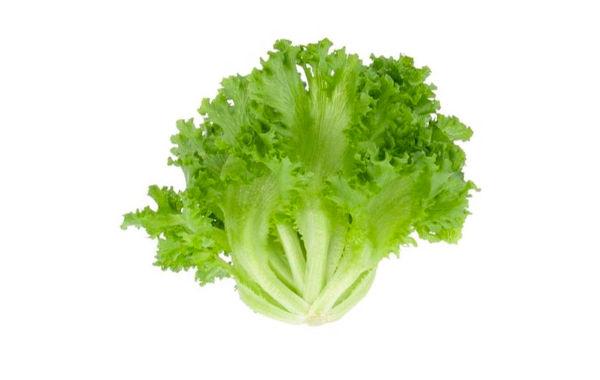 Crystal Lettuce