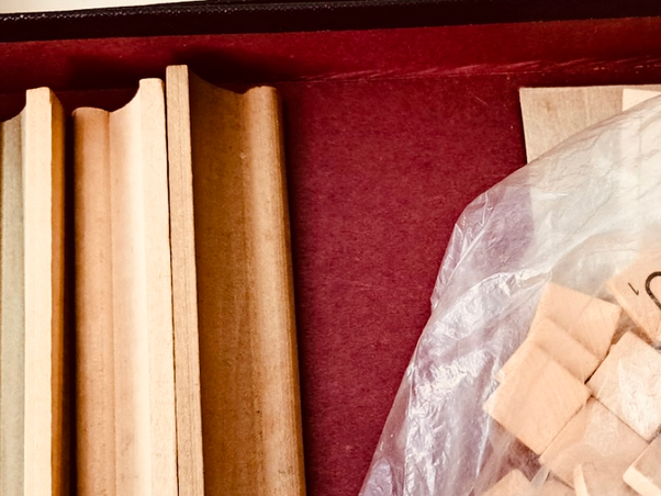 Learning To Lose at Scrabble / Sal Moriarty