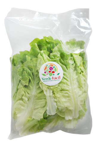 Alface Lisa | Verde Fácil