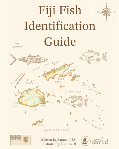 Fiji Fish Identification Pocket Guide PDF | Wet Mammal