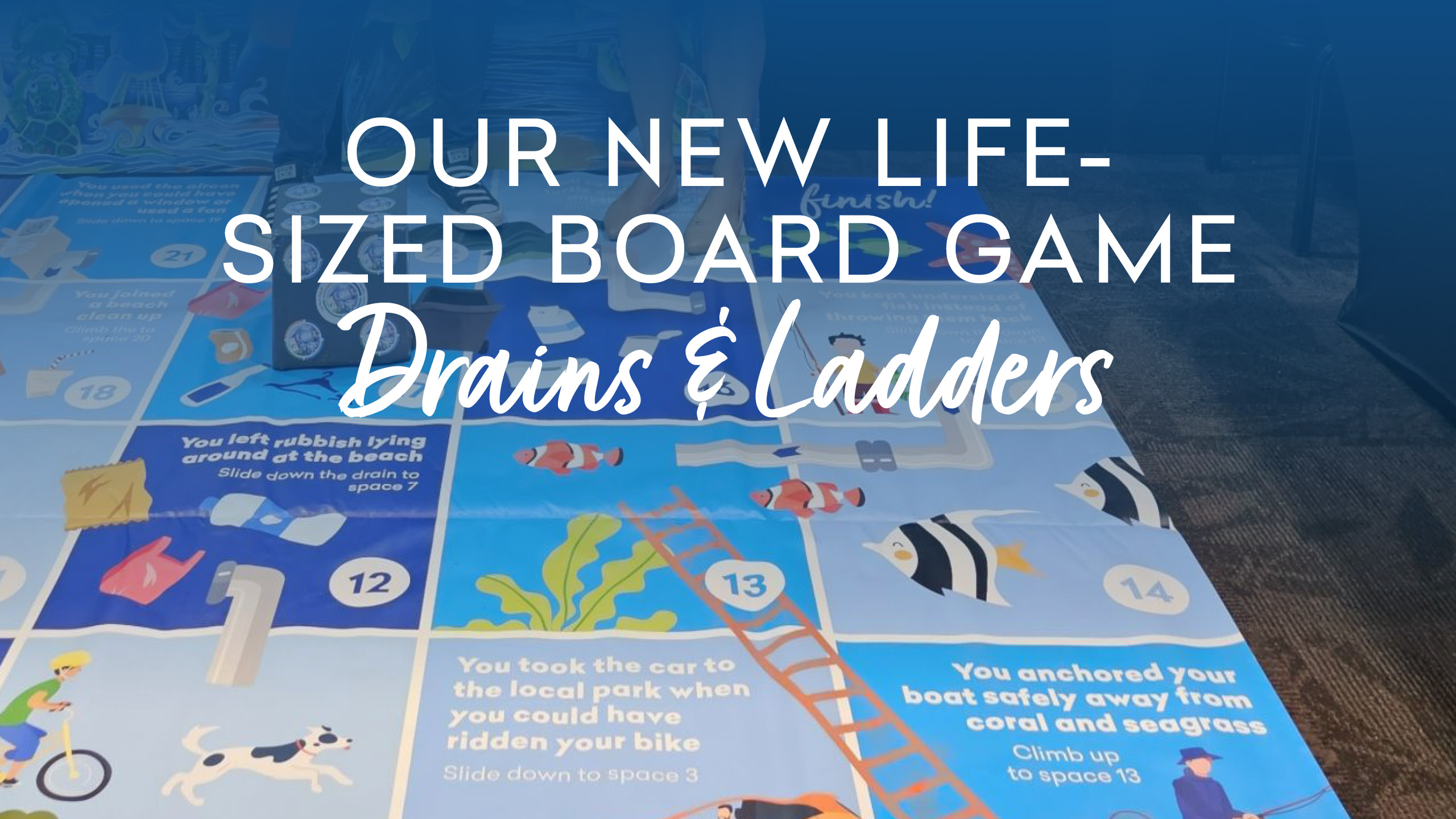 Introducing our new life-sized board game, Drains and Ladders