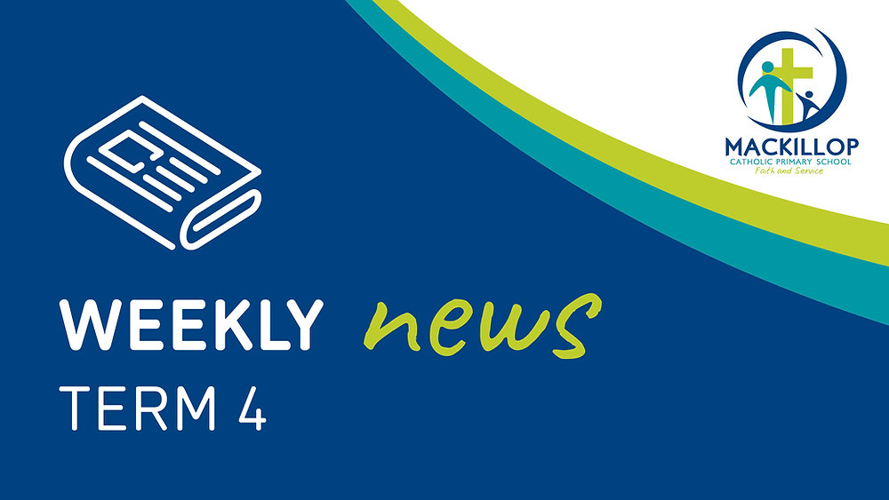 NEWSLETTER | Term 4, Week 7