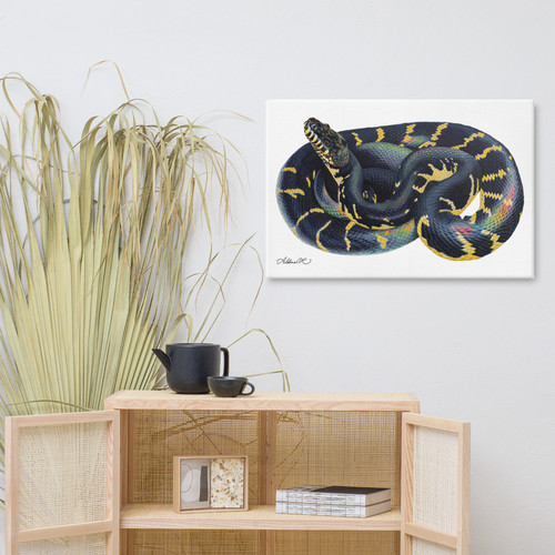 Boelens Python - Simalia boeleni 24x36 Canvas Print | Adeline Robinson Art