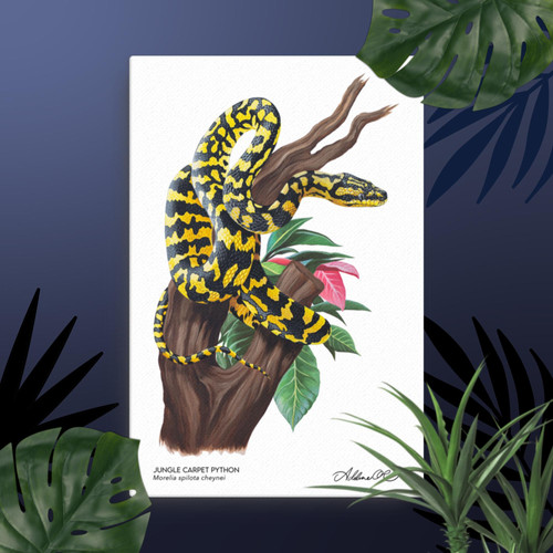 Jungle Carpet Python - Morelia spilota cheynei 24x36 Canvas Print ...