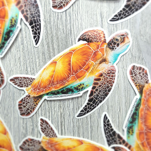 Green Sea Turtle Sticker - Chelonia mydas | Adeline Robinson Art