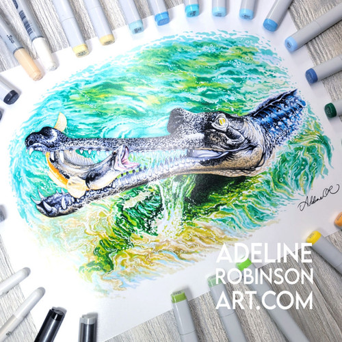 Gharial - Gavialis gangeticus | Adeline Robinson Art
