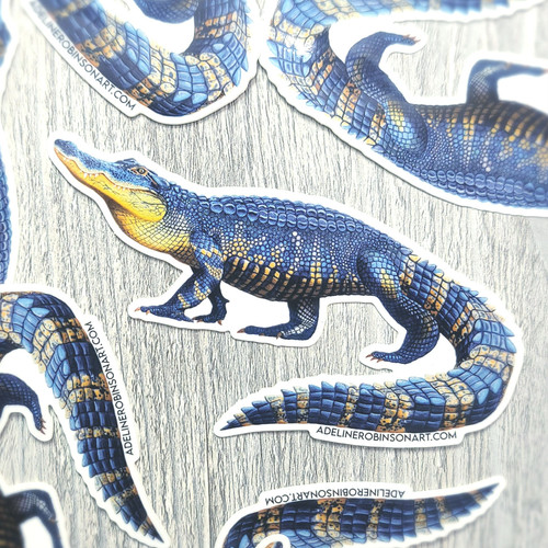 American Alligator Sticker - Alligator mississippiensis | Adeline ...