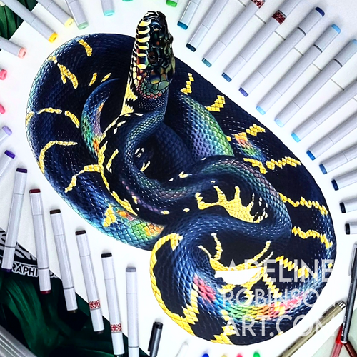 Boelens Python - Simalia boeleni | Adeline Robinson Art