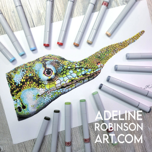Pinocchio Anole - Anolis proboscis | Adeline Robinson Art