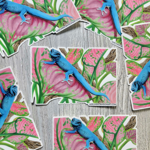 Electric Blue Day Gecko Sticker - Lygodactylus williamsi | Adeline ...