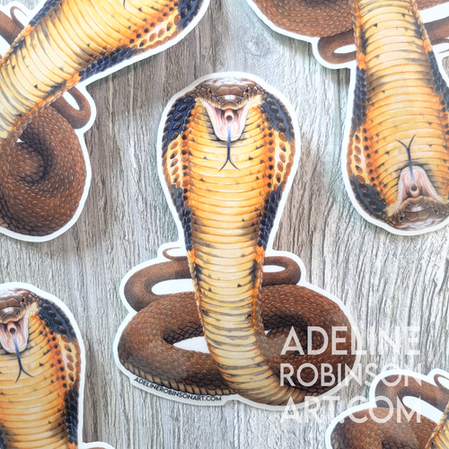 King Cobra Sticker - Ophiophagus hannah | Adeline Robinson Art