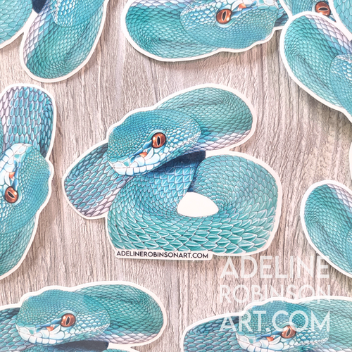 Blue Insularis Pit Viper Sticker- Trimeresurus insularis | Adeline ...