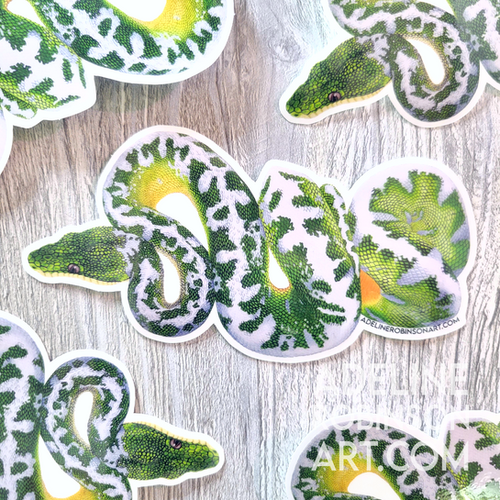 Amazon Basin Emerald Tree Boa Sticker - Corallus batesii | Adeline ...