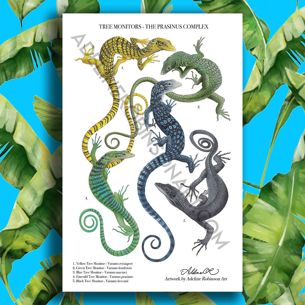 Tree Monitors - The Prasinus Complex Poster | Adeline Robinson Art
