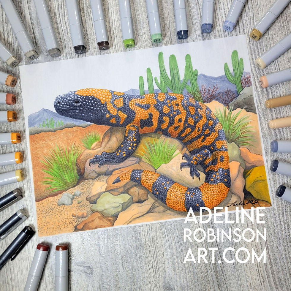 Gila Monster in situ - Heloderma suspectum | Adeline Robinson Art