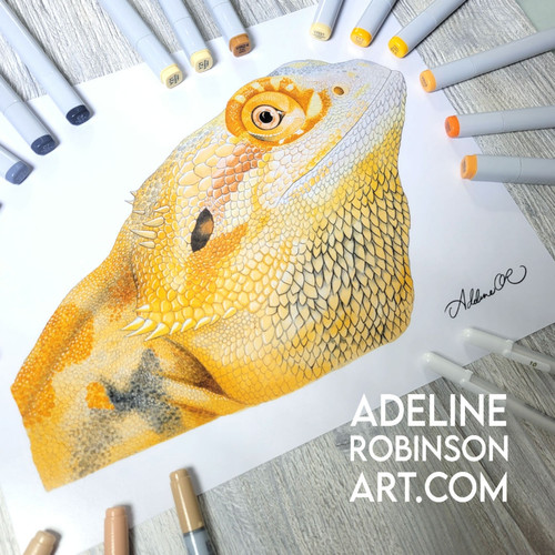 Central Bearded Dragon - Pogona vitticeps | Adeline Robinson Art
